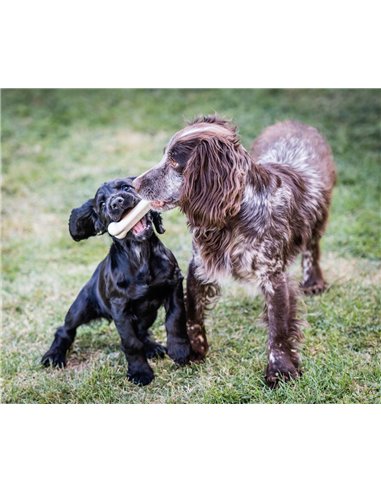 EXTREME CHEW POLLO Taglia/Capacità M Misura 14x5 cm Pezzi per box BOX 12 PZ